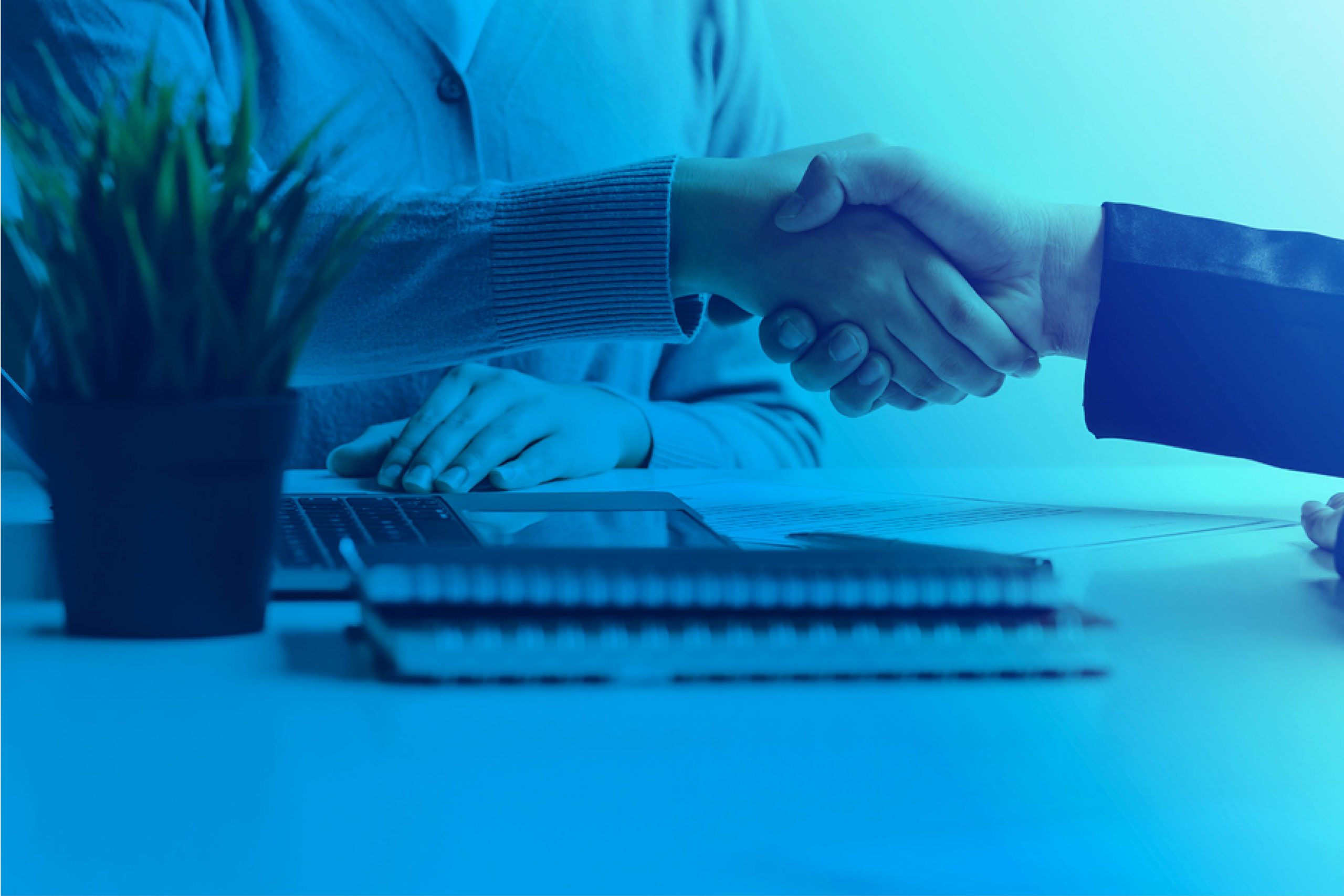 Nurturing Connections Through Content | Newsletter Pro